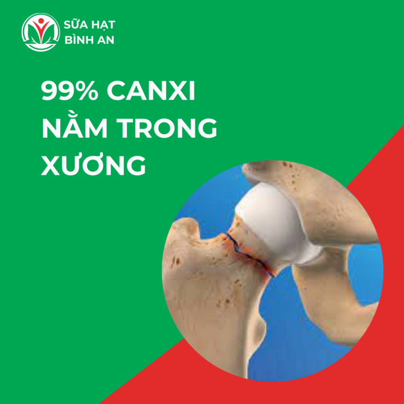 Sữa hạt bổ sung canxi, Sữa hạt Nut gold canxi plus – Create Care